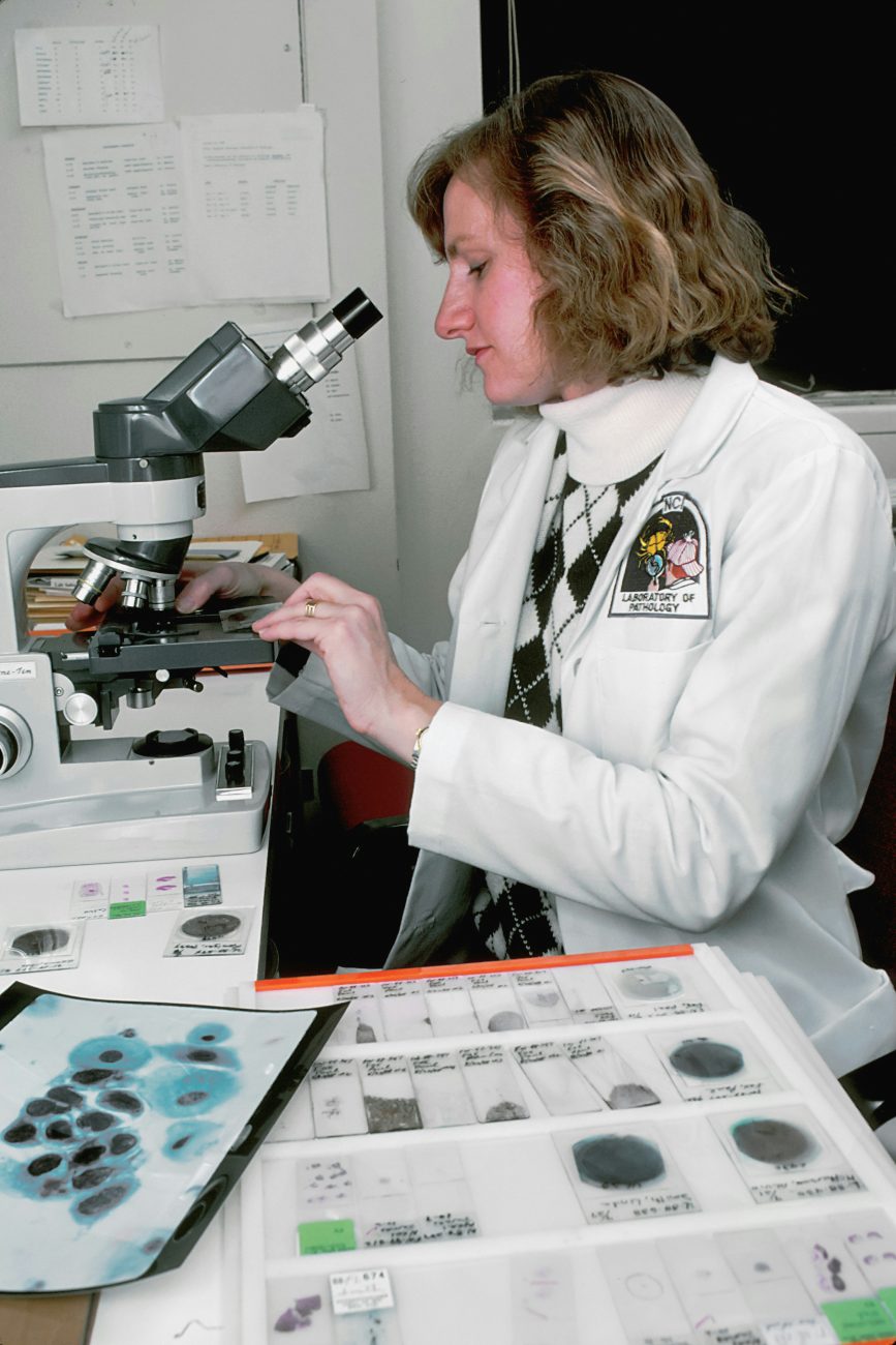 Profissões que sobreviverão à IA segundo Bill Gates