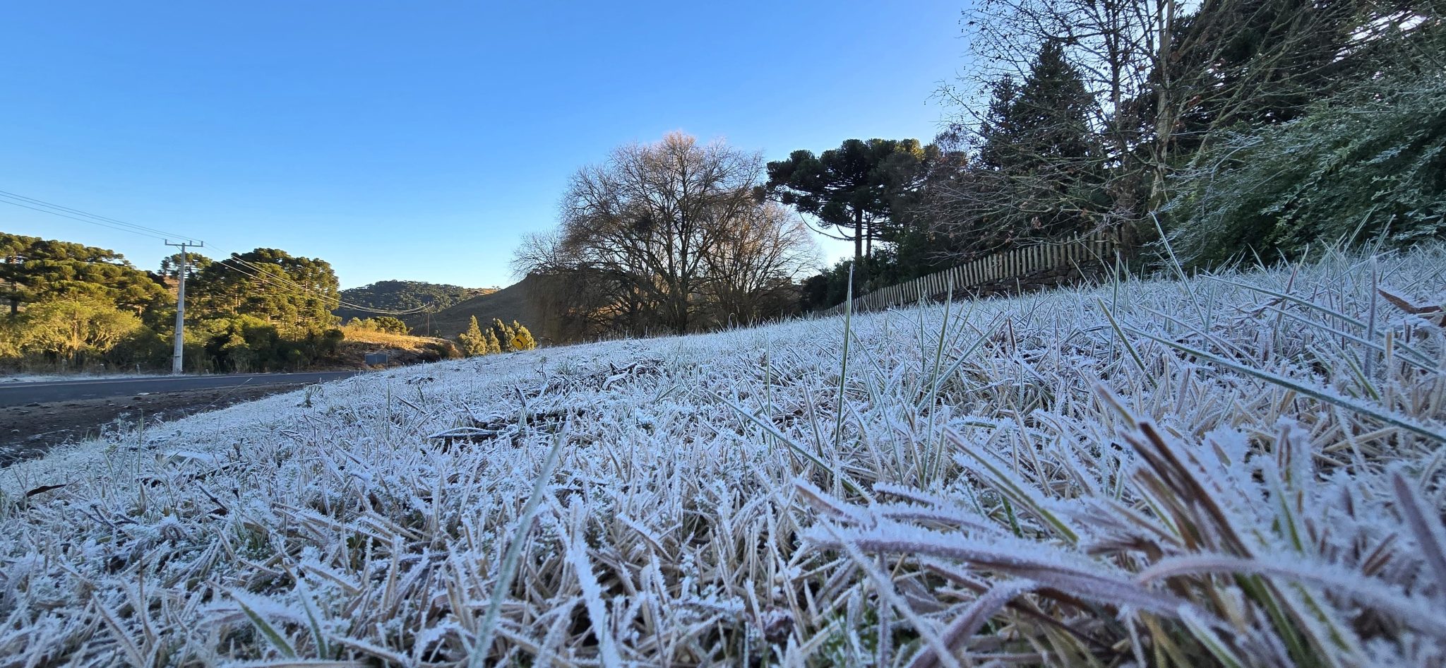 Nova frente fria avança pelo Brasil com geadas no Sul