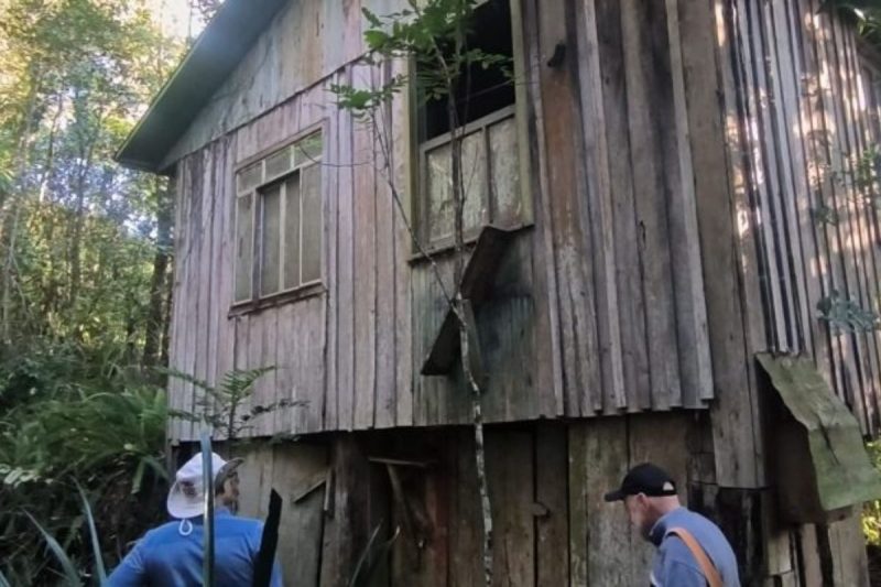 Morcegos hematófagos são monitorados em SC para prevenção