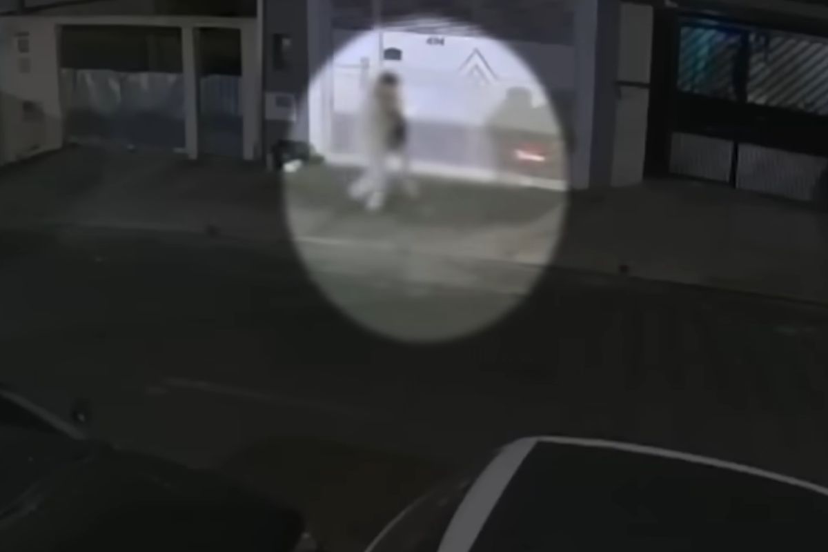 Nicolly Pogere: o que falta saber sobre o esquartejamento