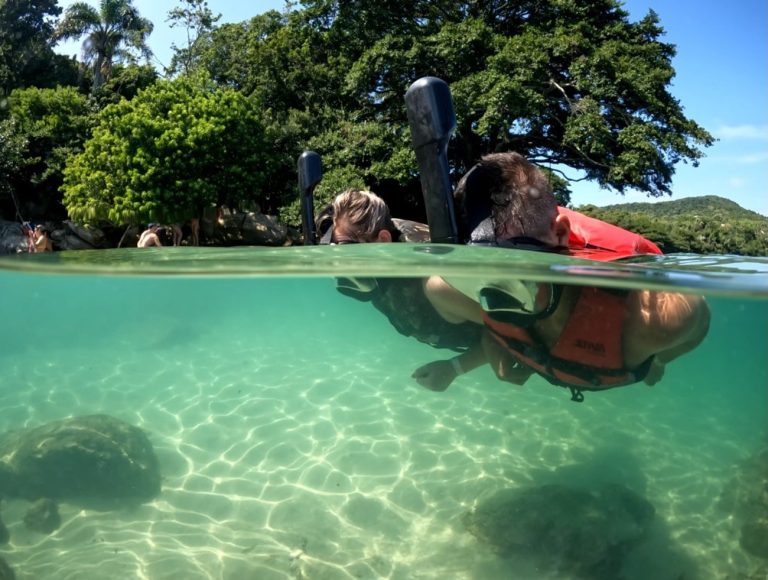 Saiba qual é o melhor dia para mergulhar em Bombinhas e encontrar o mar ...