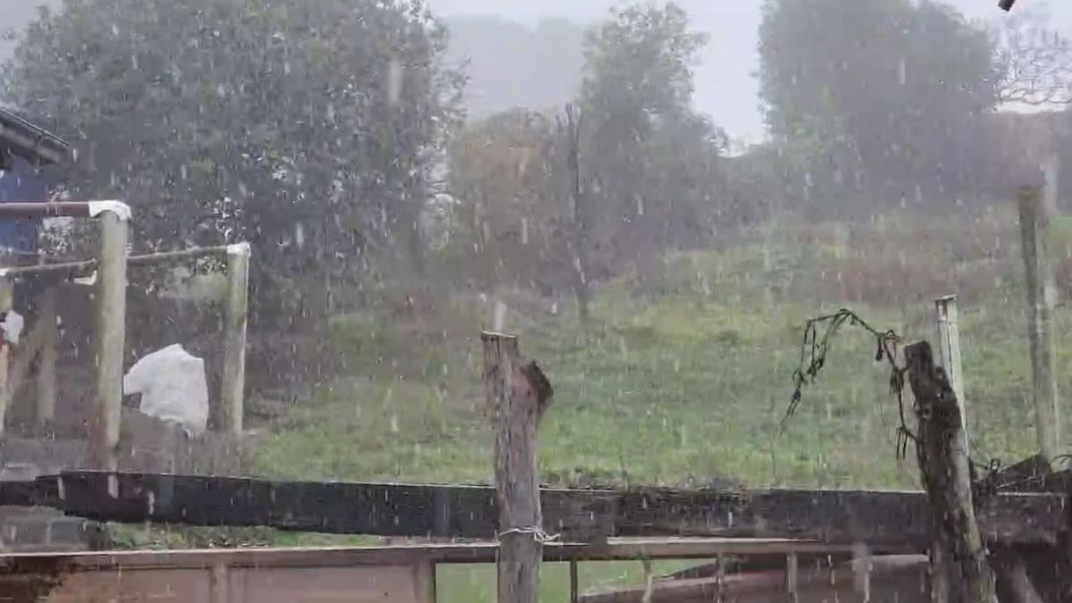 Após tornado, previsão do tempo em SC indica geada