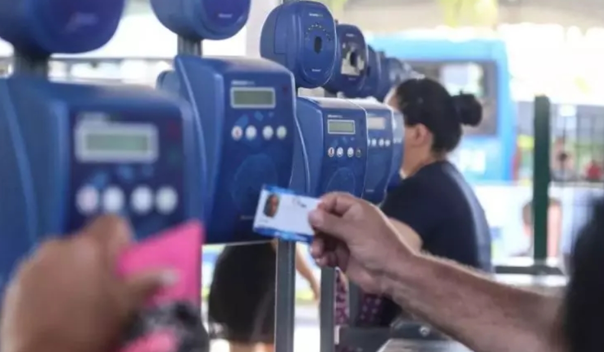 Como pedir a passagem gratuita para vítimas de violência em Florianópolis