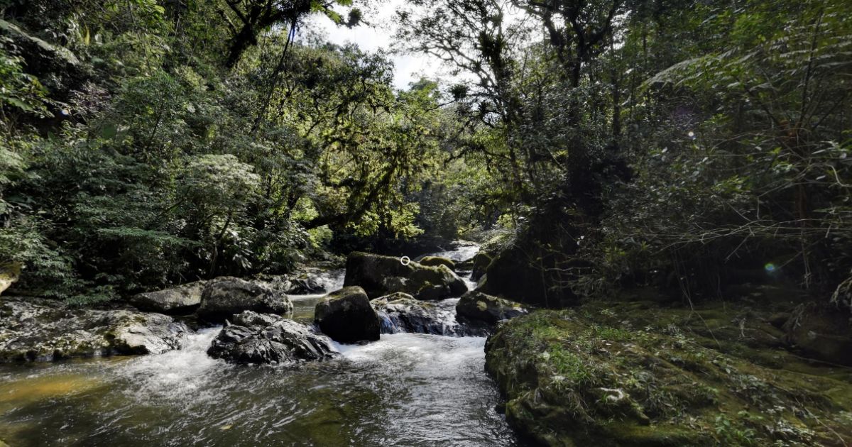 Tour virtual mostra Usina Piraí, área do futuro parque em SC