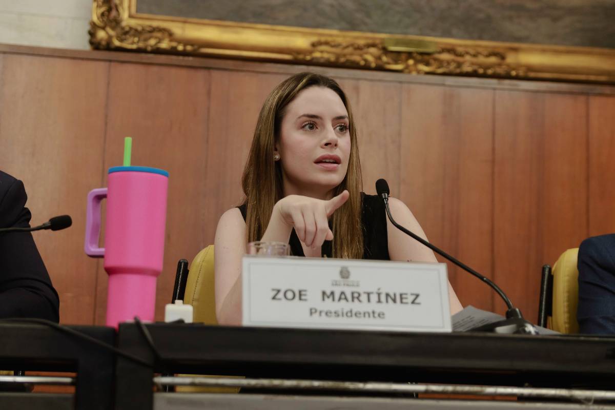 Zoe Martínez e Amanda Vettorazzo trocam ofensas no X