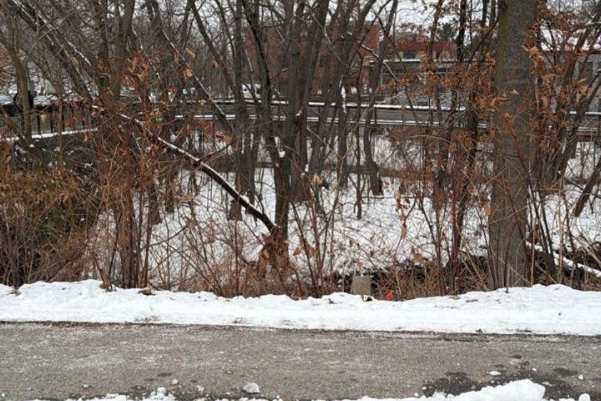 Nevasca histórica nos EUA: catarinense enfrenta –21°C