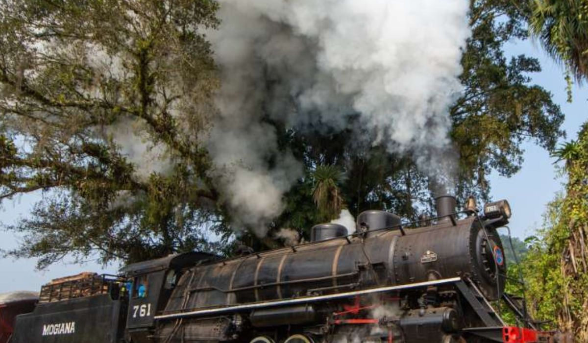 Trem da Serra do Mar retoma passeios neste fim de semana