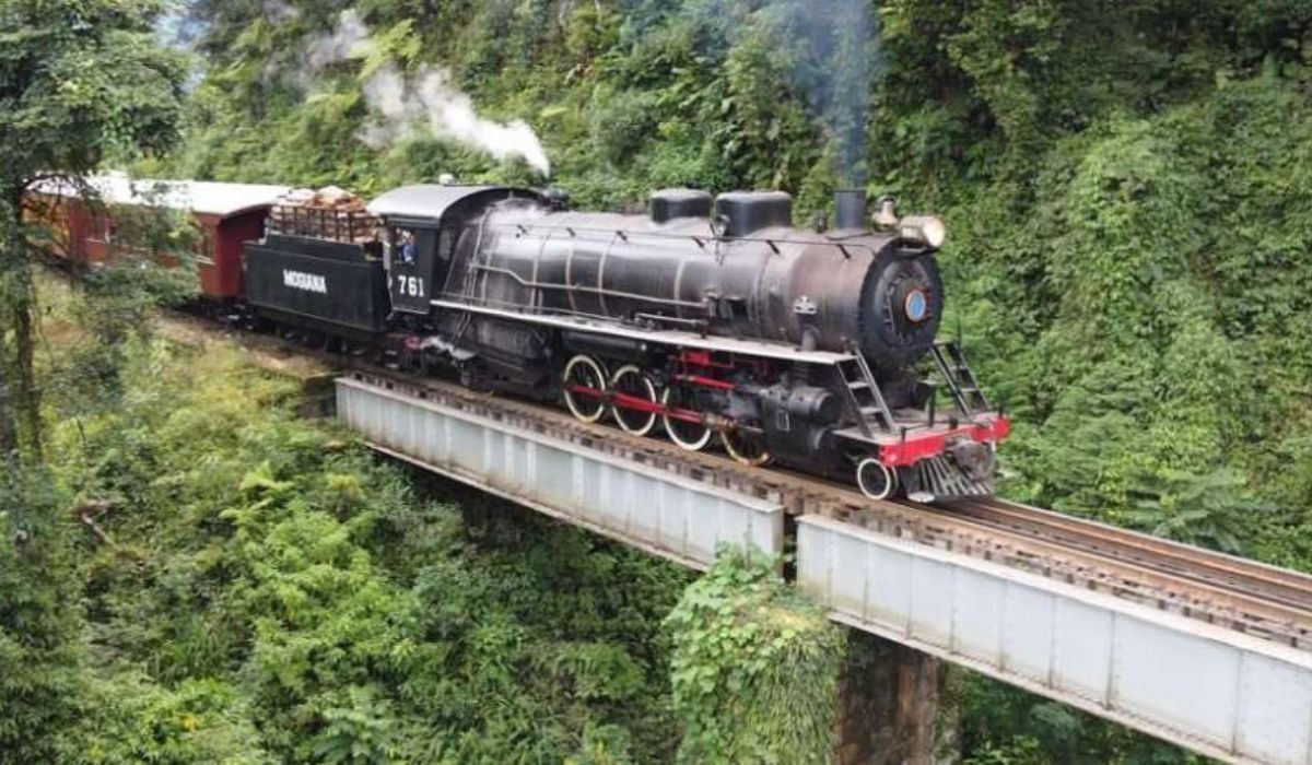 Trem da Serra do Mar retoma passeios neste fim de semana