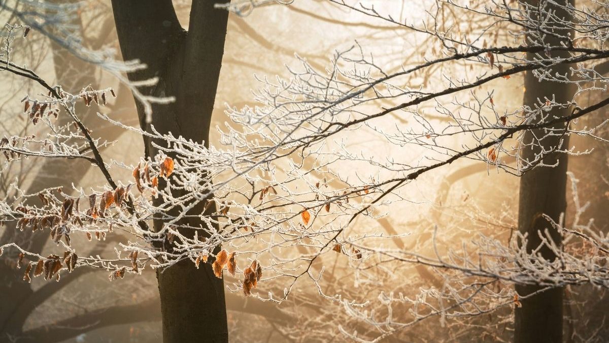 Nova frente fria derruba temperaturas para 5°C e reacende risco de ...