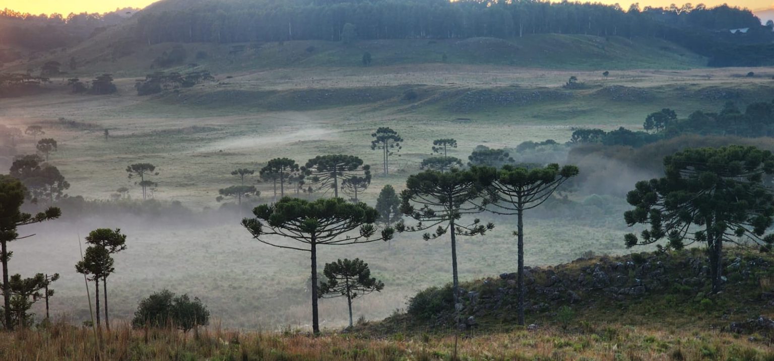 Massa de ar polar de 2026 derruba temperaturas no Sul