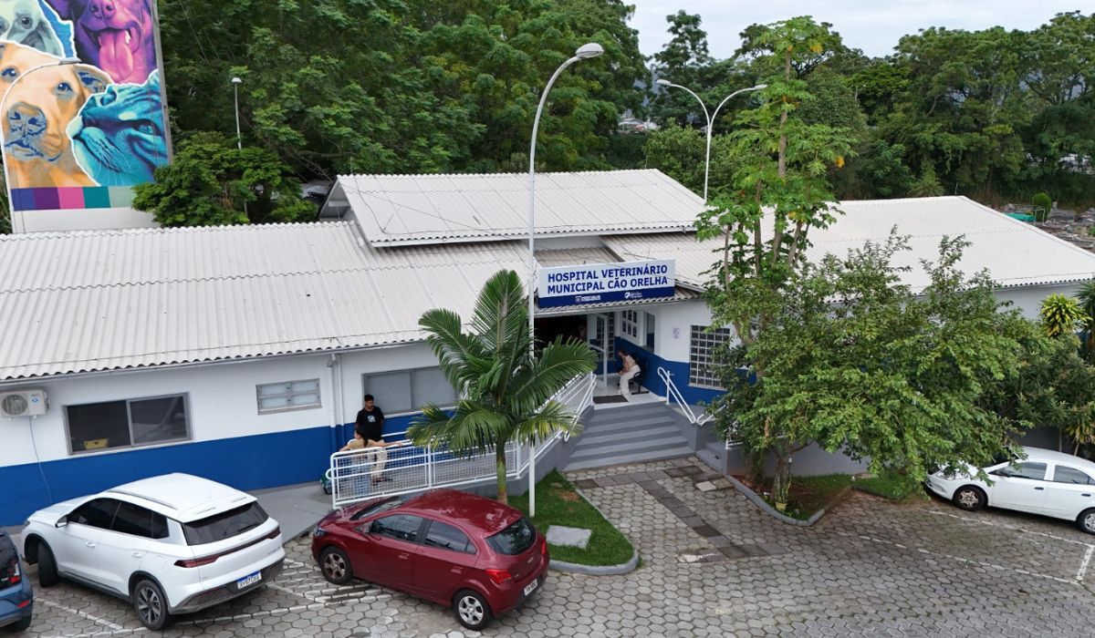 Hospital Cão Orelha será inaugurado em Florianópolis; veja quando