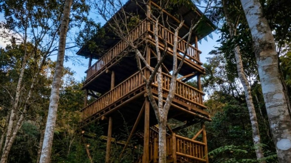 Rio do Sul vai inaugurar torre de observação de aves