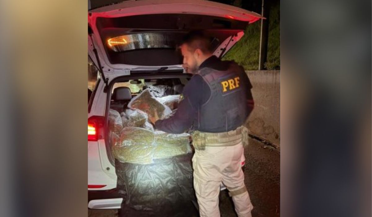 Skunk, boneco e peruca: motorista leva manequim durante fuga