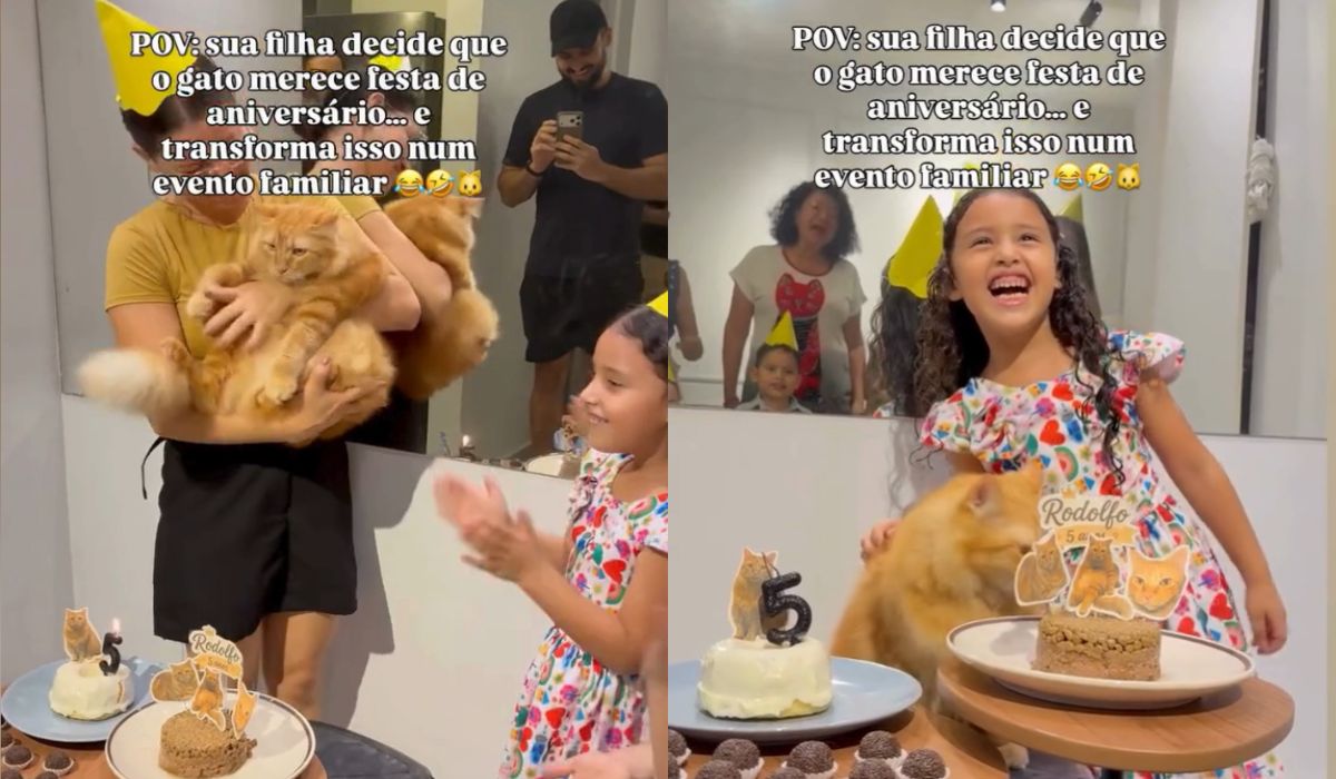 VÍDEO: Gato ganha festa de aniversário e reação viraliza