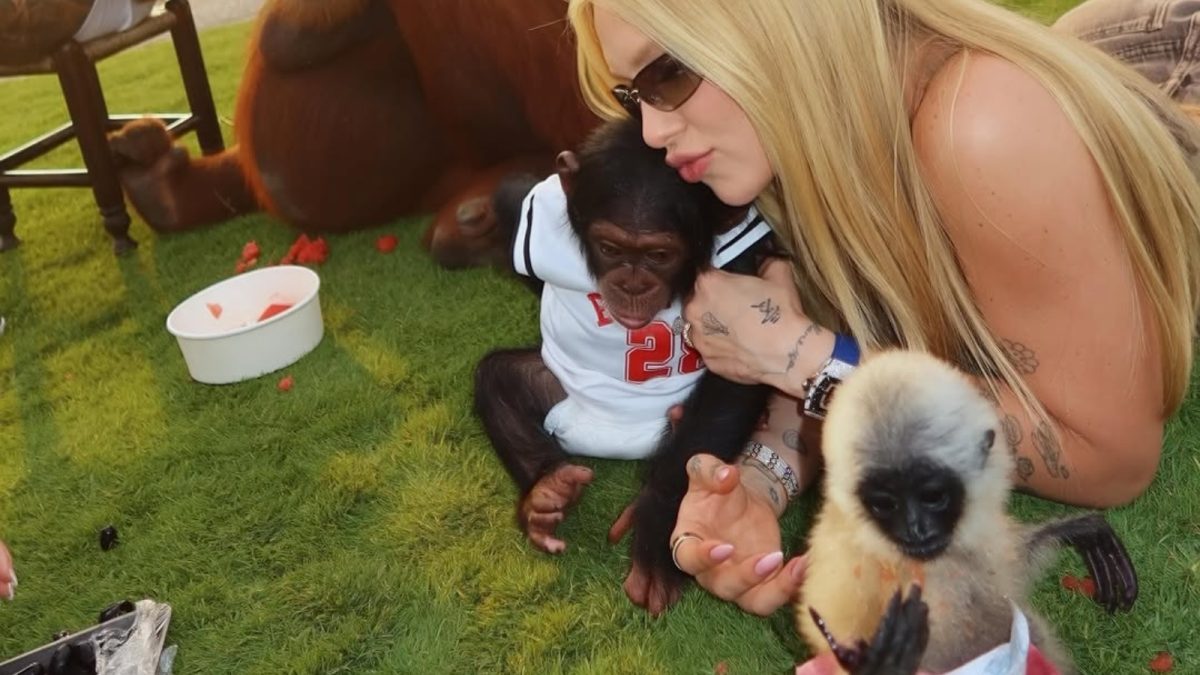 Virginia abre o jogo após vídeo beijando macaco e dispara: 'Foi infeliz'