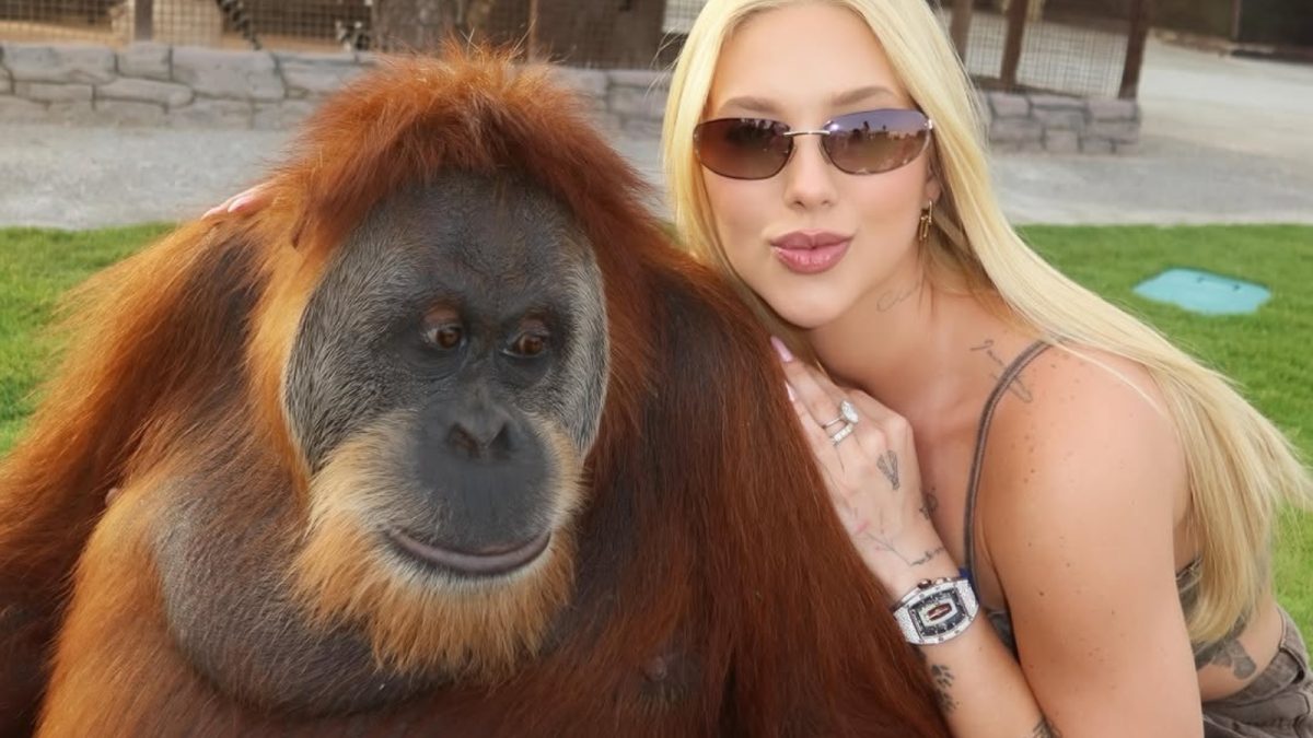 Virginia abre o jogo após vídeo beijando macaco e dispara: 'Foi infeliz'