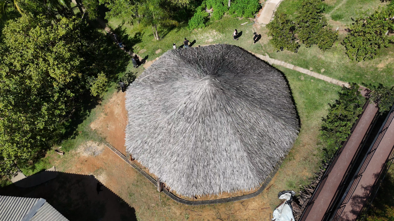 Conheça os povos que deram forma a Santa Catarina