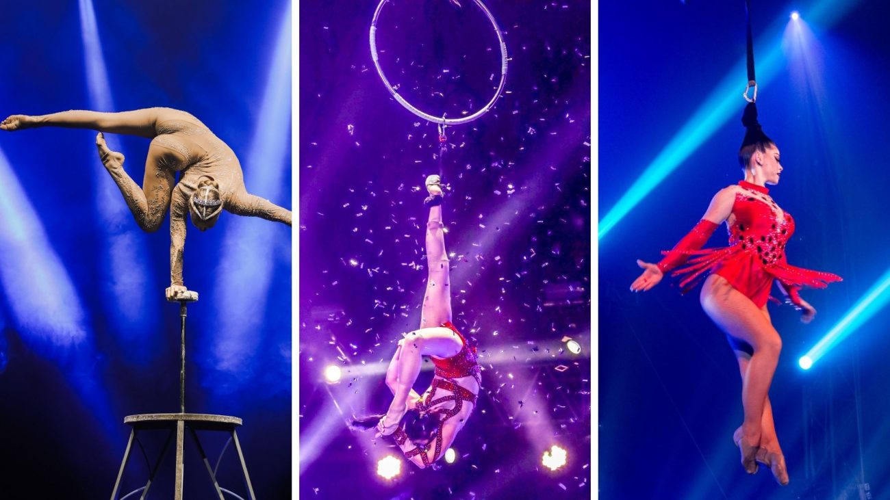 Maior circo da América Latina estreia em Joinville