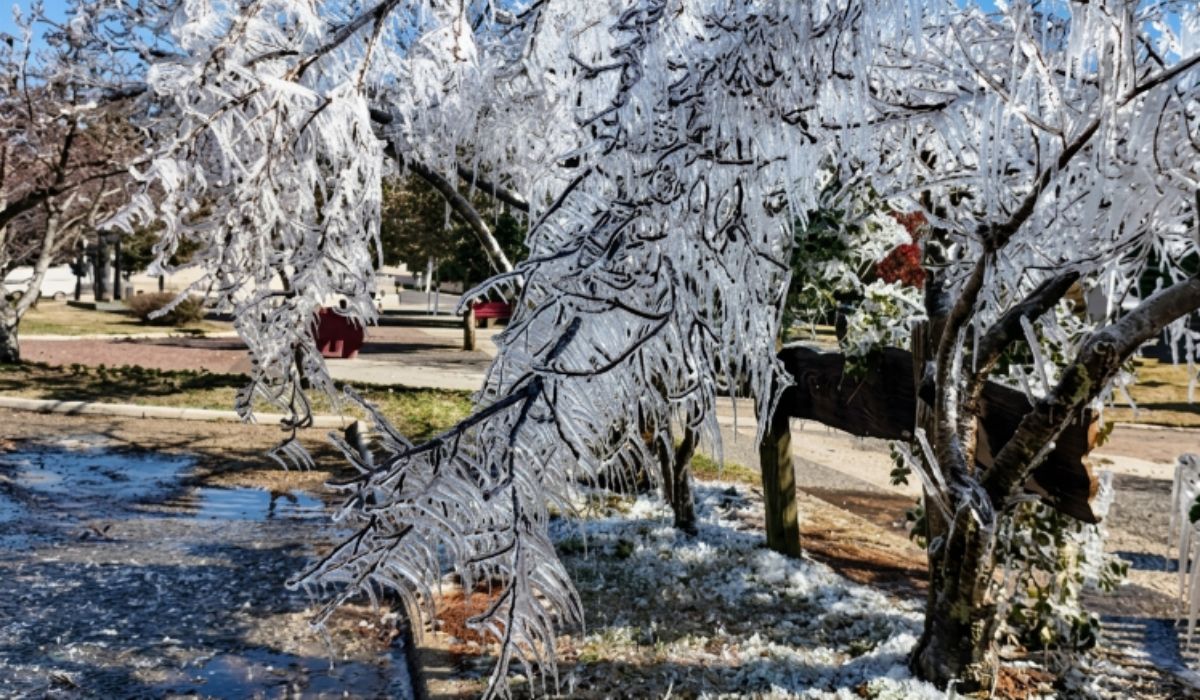 Onda de frio provoca geada intensa e temperaturas de -5°C