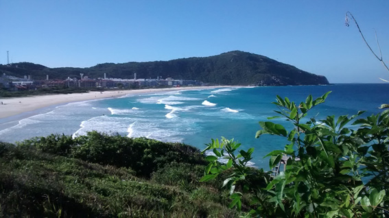 Surfistas vão dar dicas para curtir as praias da cidade